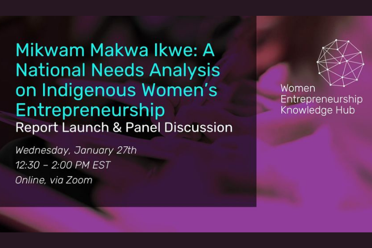 Mikwam Makwa Ikwe (Ice Bear Woman) - A National Needs Analysis on Indigenous Women's ...